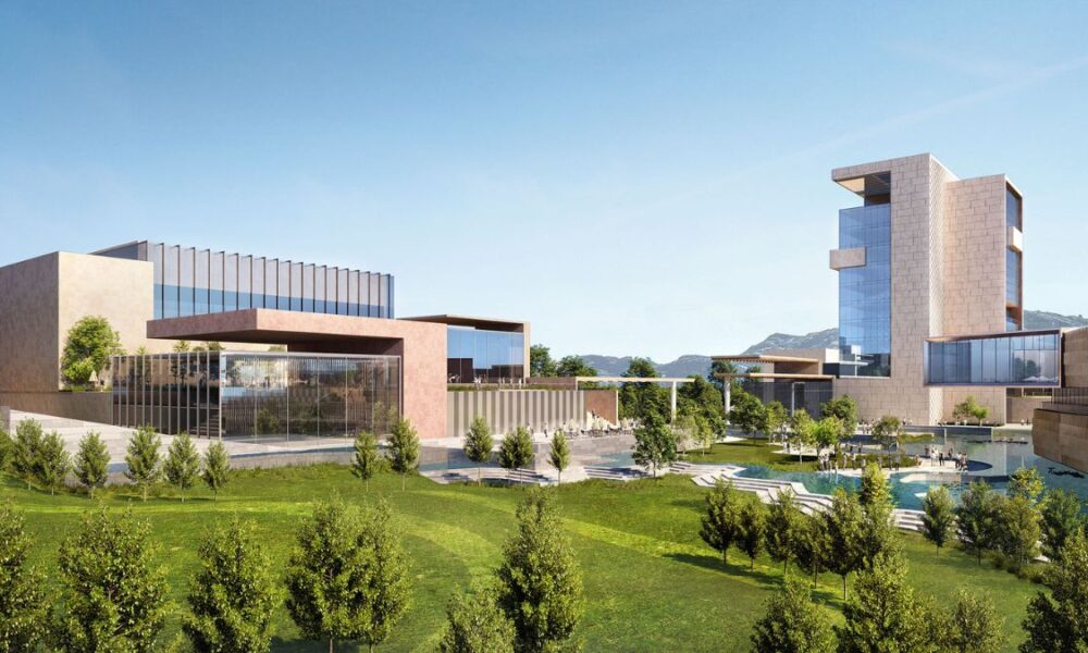 What is the Mutual Combat Law and How Does It Work?